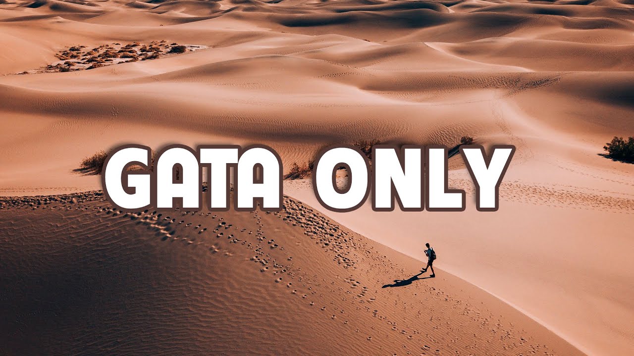 FloyyMenor - GATA ONLY ft. Cris MJ (Letra/Lyrics) - YouTube