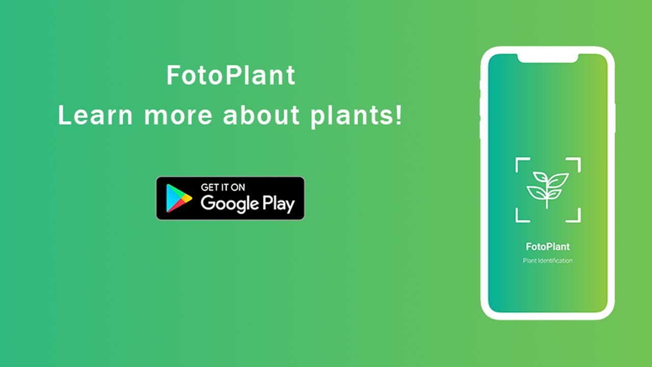 FotoPlant Plant Identification Official Google Play Launch Trailer ...