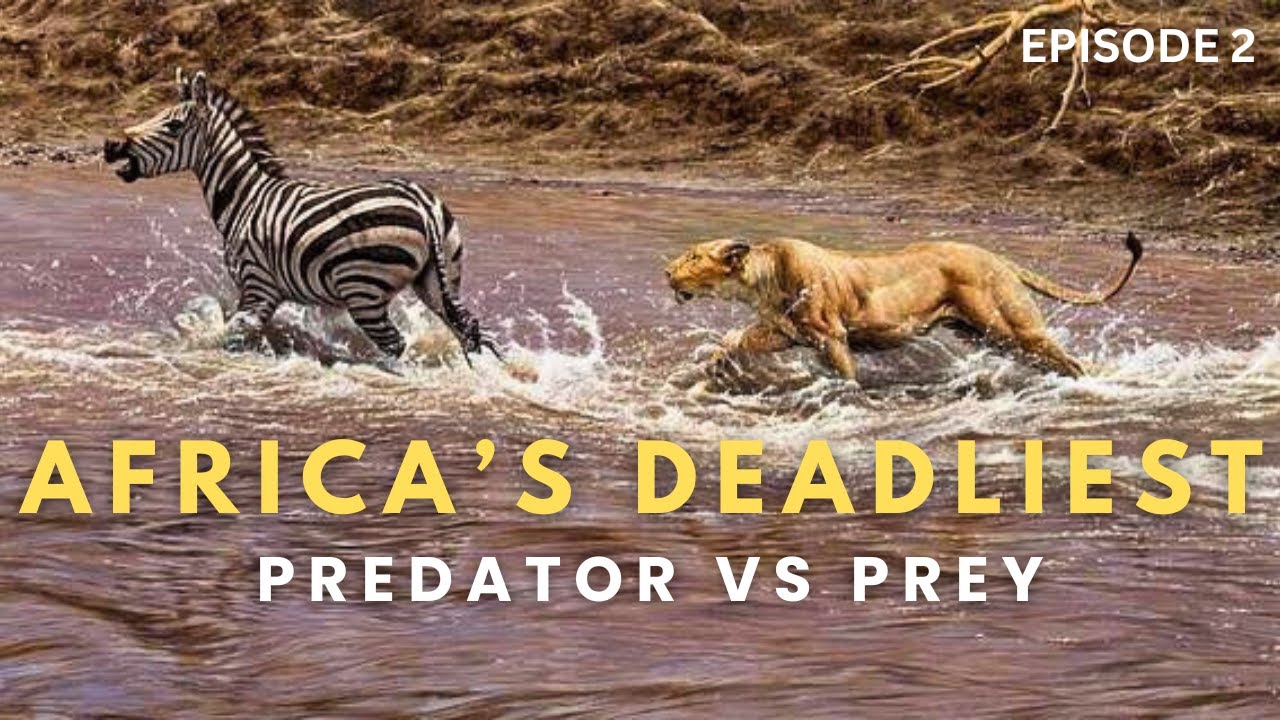 Africa’s Deadliest: Predators vs Prey | Nat Geo Wild | Wildlife ...