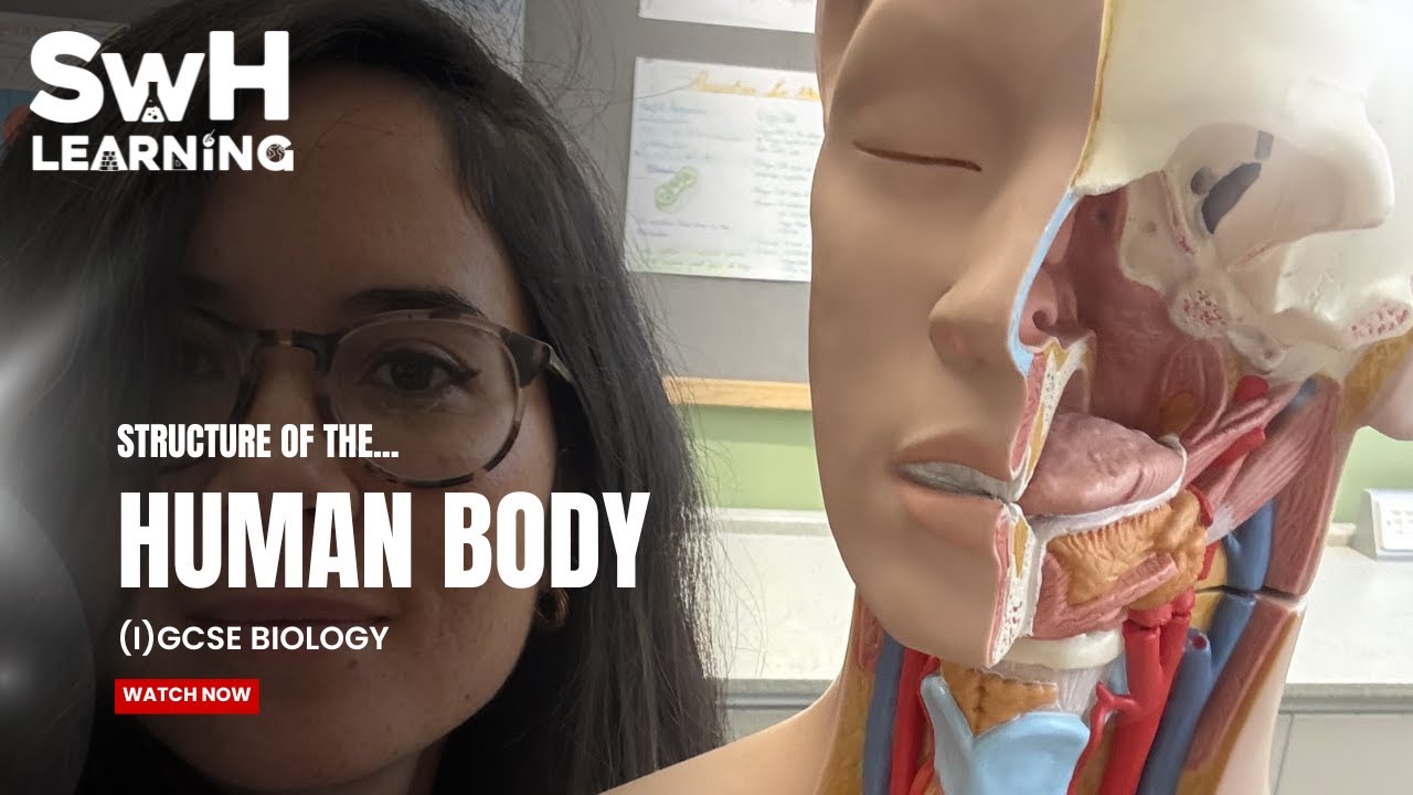 Structure Of The Human Body | SwH Learning - YouTube