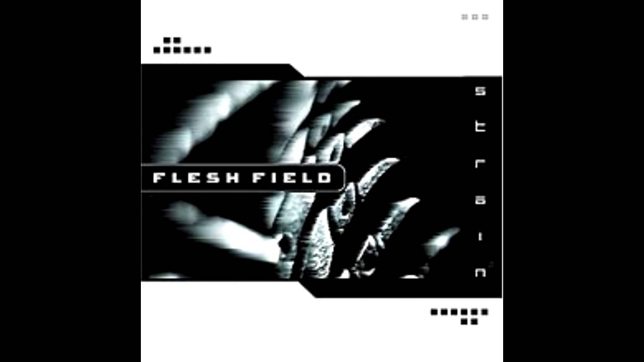 Flesh Field - Haven - YouTube
