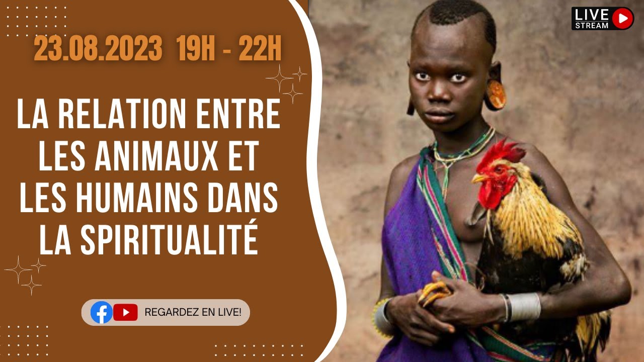 La relation entre les animaux et les humains dans la spiritualite. C ...