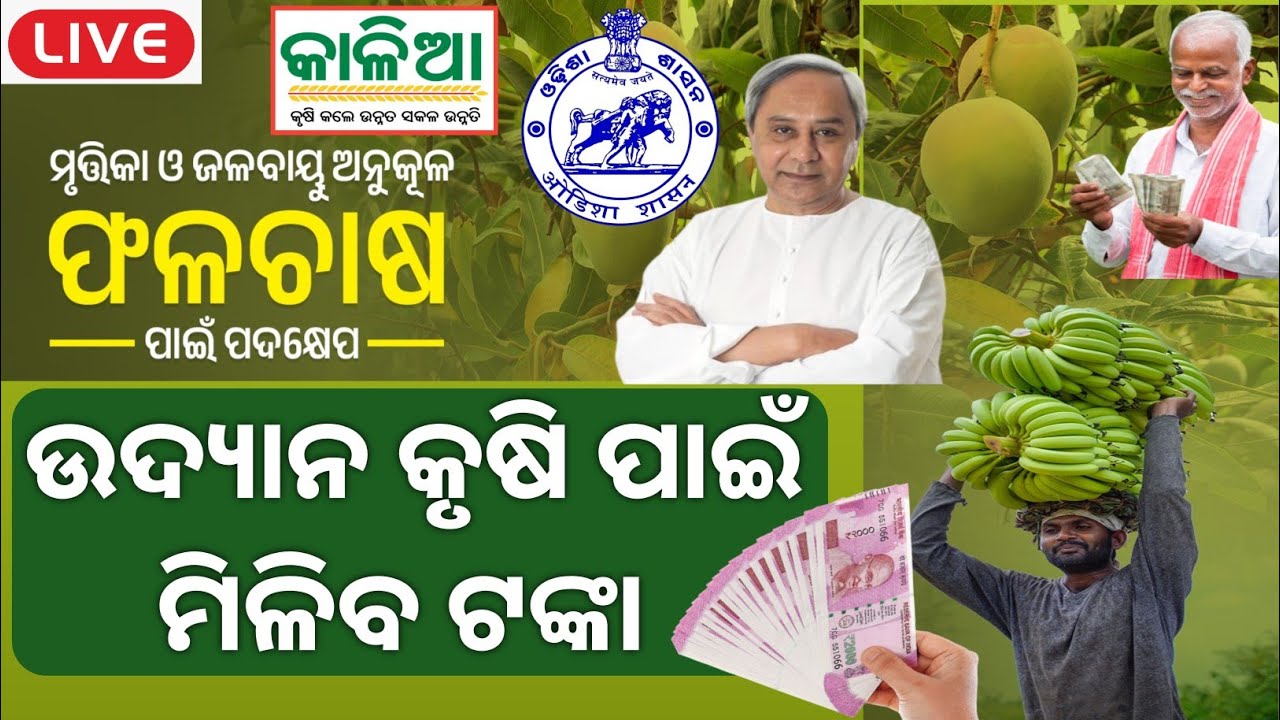Fruit farming in Odisha 2023//Horticulture Department in Odisha//Fruit ...