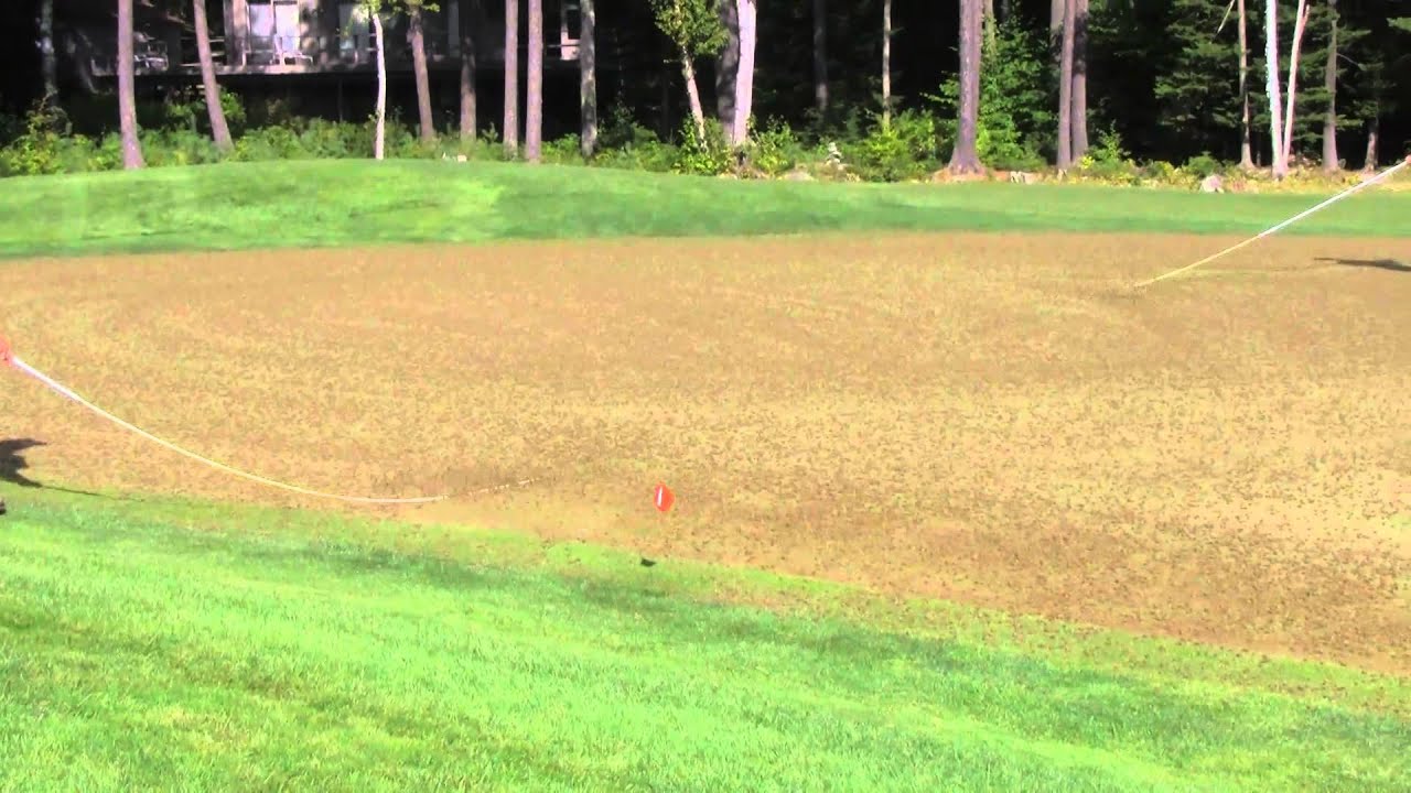 Aerification process explained - YouTube