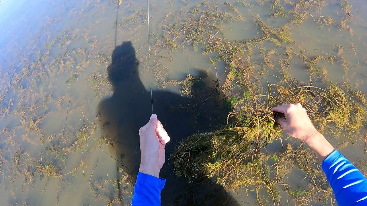 Fishing in a SWAMP with a MOUSE ! - What will I catch ? - YouTube