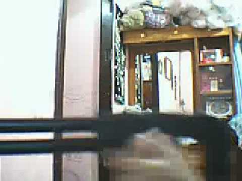 HOMEMADE PUMP ACTION SHOTGUN - YouTube