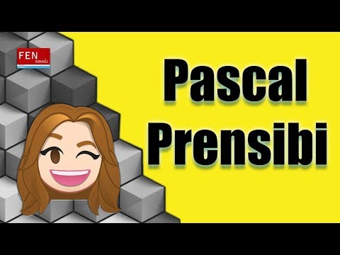 Fen Bilimleri 8. Sınıf Pascal Prensibi Su Cenderesi, U borusu, Bileşik Kaplar
