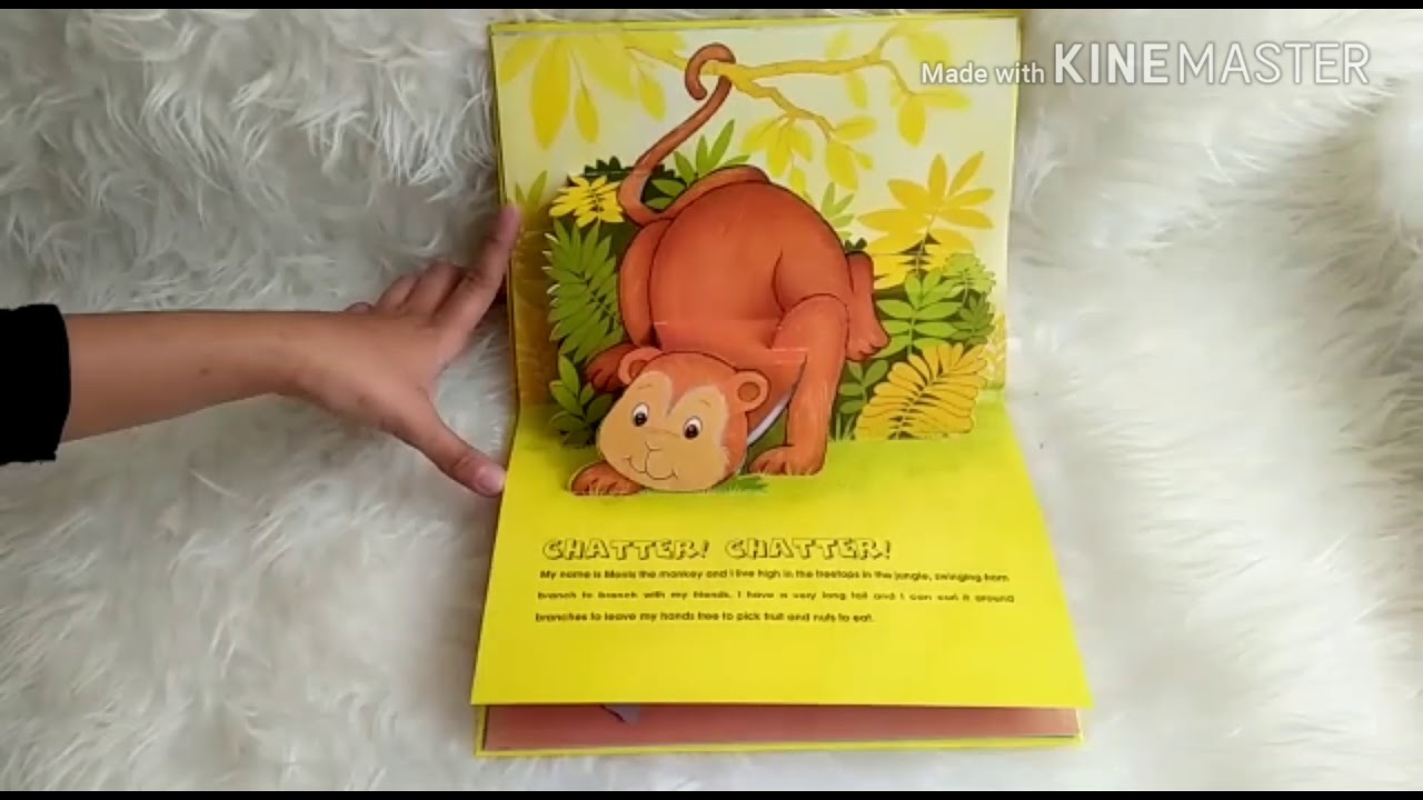 Jungle Animals Pop-Up Book - YouTube