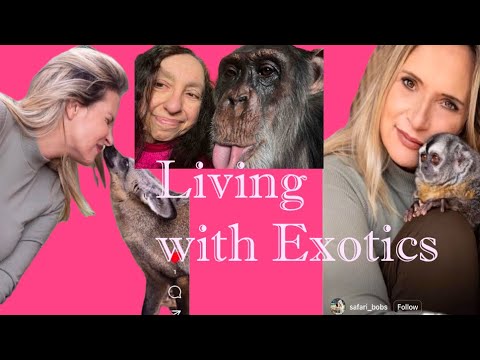 Elizabeth Felton: Living with Exotics - YouTube