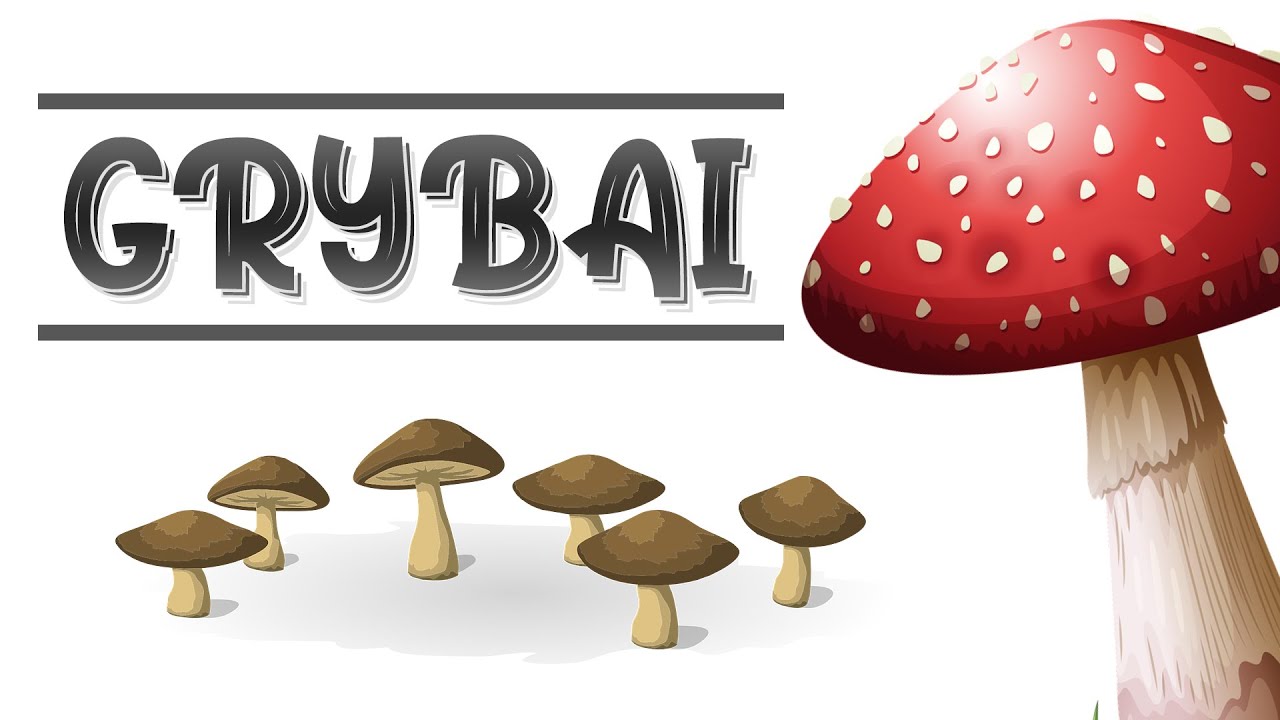 GRYBAI. Mokomės pažinti grybus | Toys box movies - YouTube