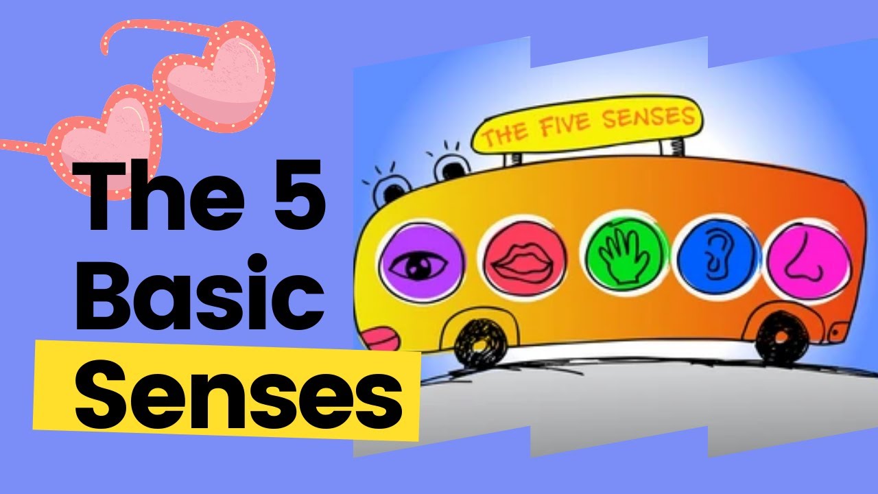Five Senses for kids | Five Senses educational video| Learn 5 Senses ...