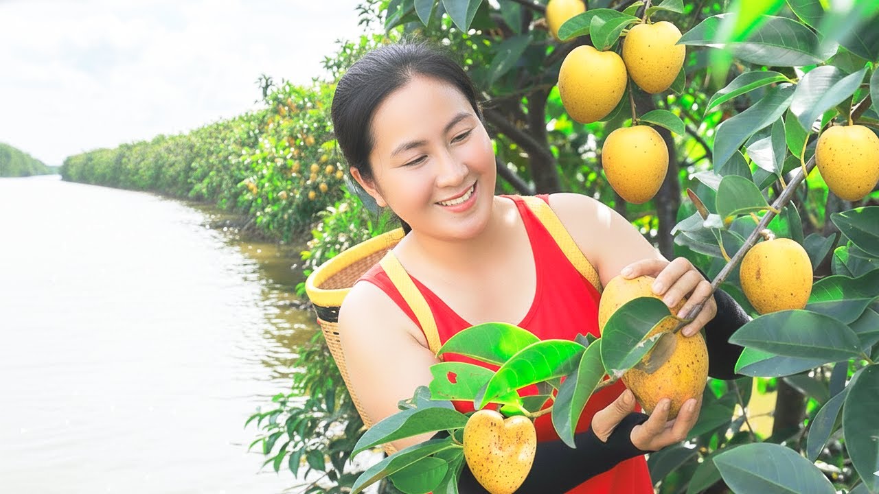 Harvesting Wild Pond Apples by the River for the Local Market | Emma's ...