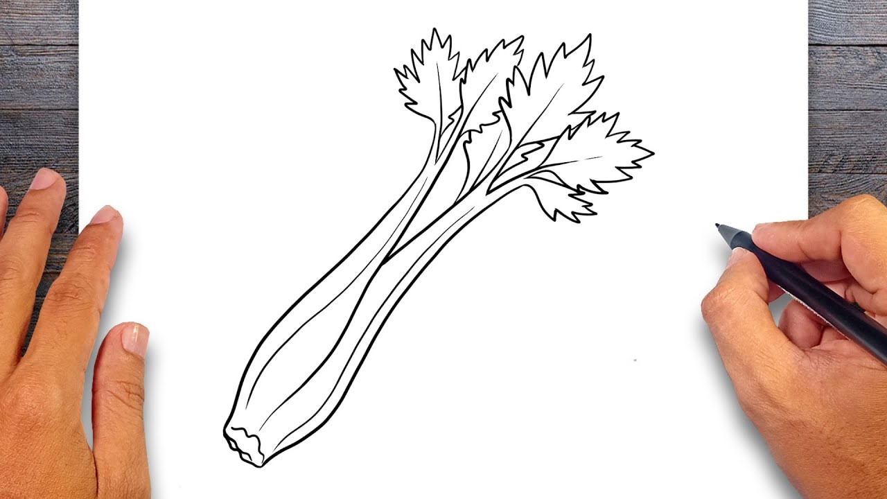 How to draw Celery - YouTube