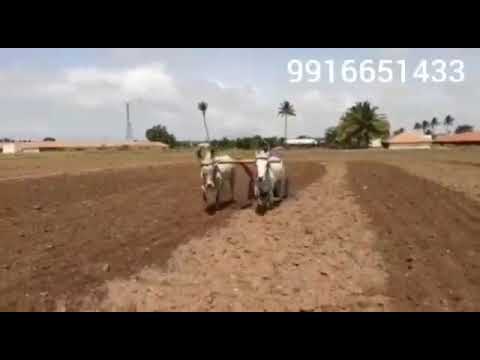 Modern Kalappai. - YouTube