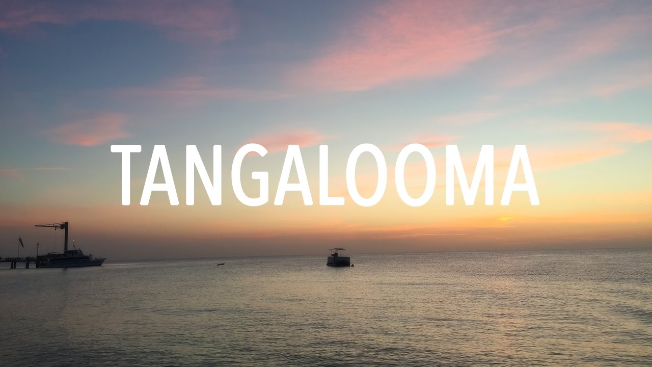 14. Tangalooma - YouTube