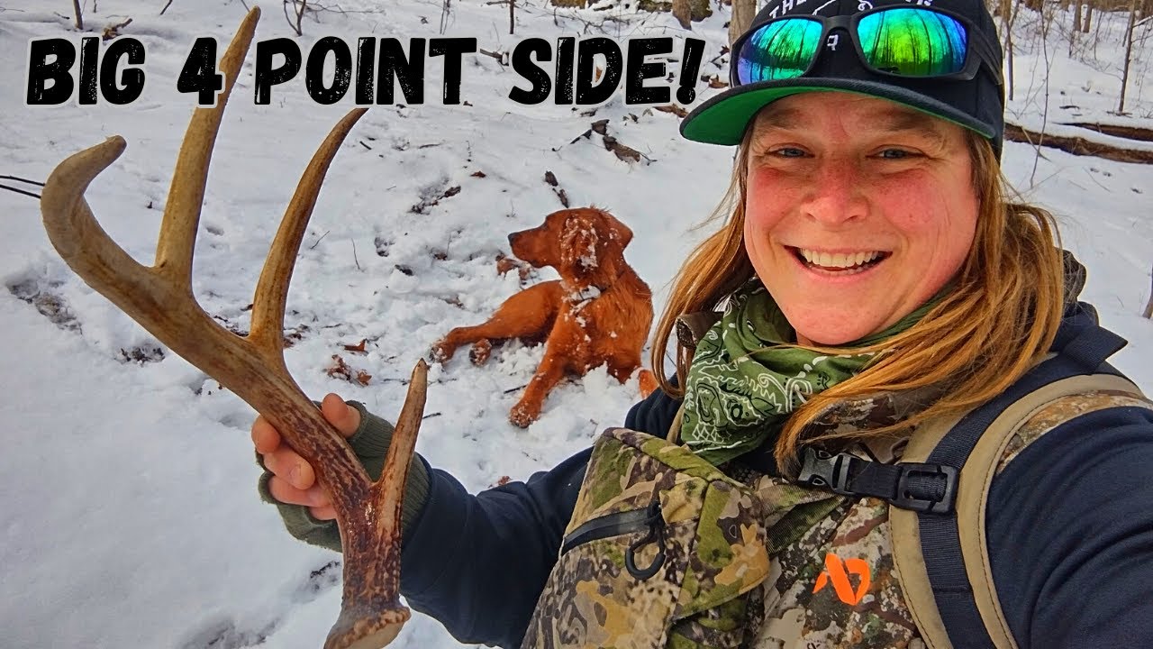 Shed Hunting in the Snow! - Allegheny National Forest PA - YouTube