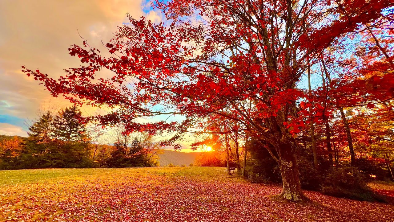 Stunning fall foliage colors in West Virginia | Part 2 - YouTube
