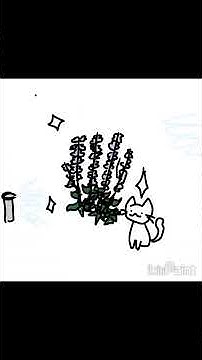 meow cat finds catnip - YouTube