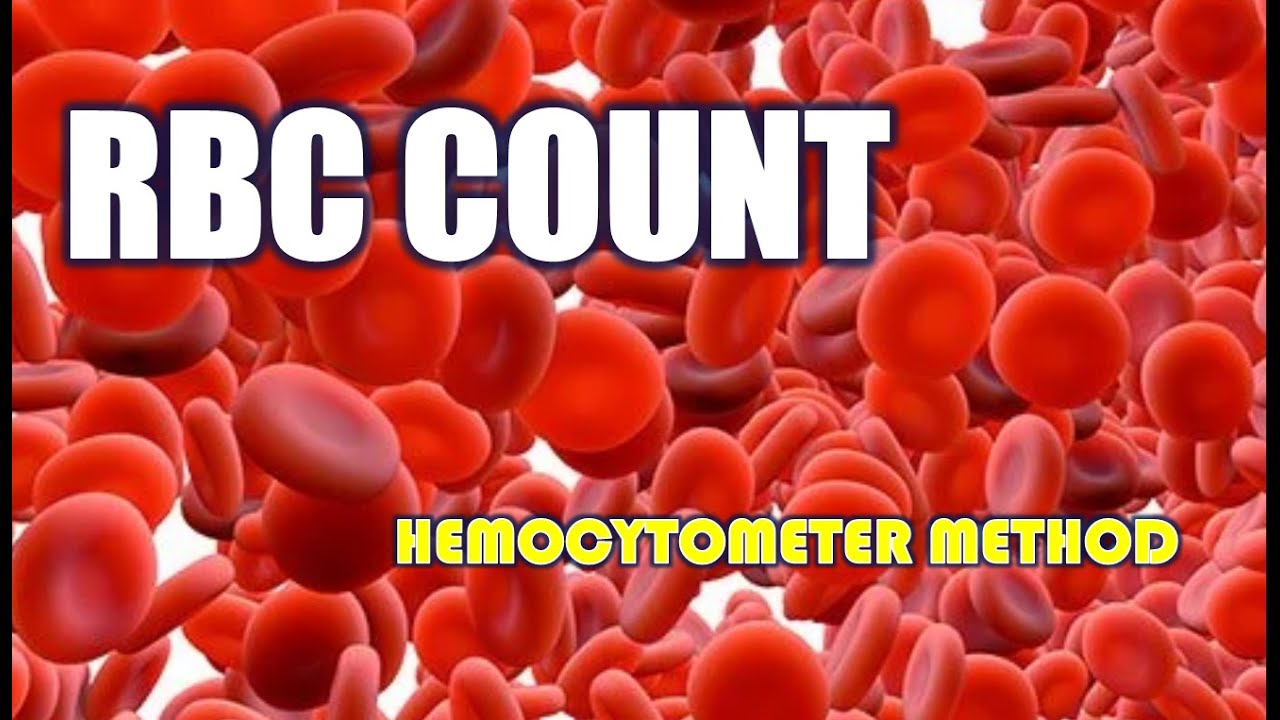 RBC count | Red blood cells estimation | Hemocytometer | RBCcount ...