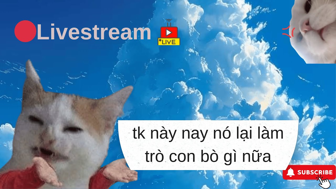 STREAM! No days off - YouTube