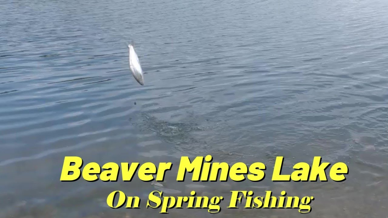 Beaver Mines Lake: First Day On Spring Fishing ( Mayat Nan Nabaniitan ...