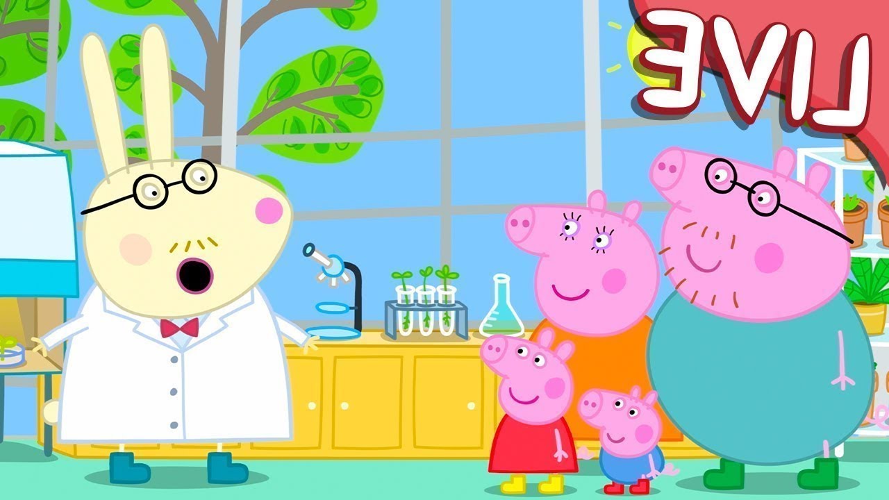Peppa Pig Full Episodes 🔴 LIVE! Peppa Pig SPECIAL EPISODES - Cartoons ...