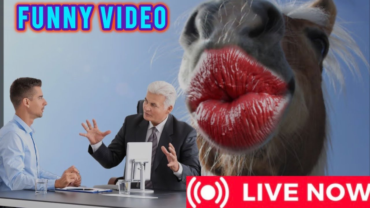funny Live Stream #funny #funnyvideo - YouTube