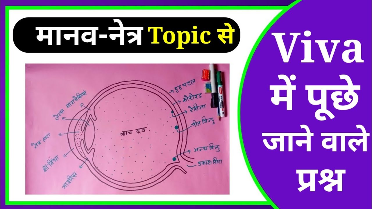 manav netra se viva mein puche jaane wale prashn || manav netra - YouTube