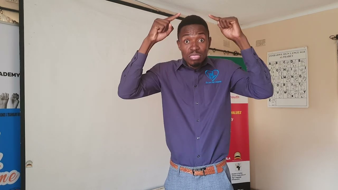 Sign Language for Beginners: Greetings - YouTube