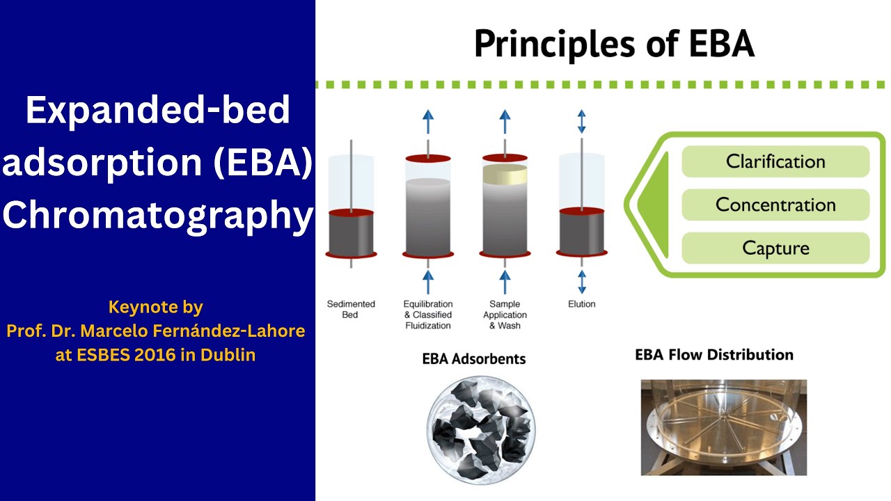 Expanded Bed Adsorption (EBA) chromatography Keynote by Prof. Marcelo ...