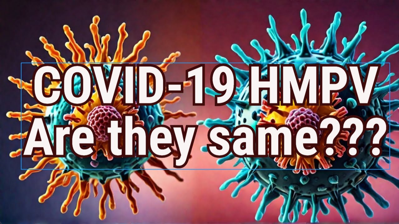HMPV vs Coronavirus(covid-19): Is HMPV Similar To Covid-19, How to ...