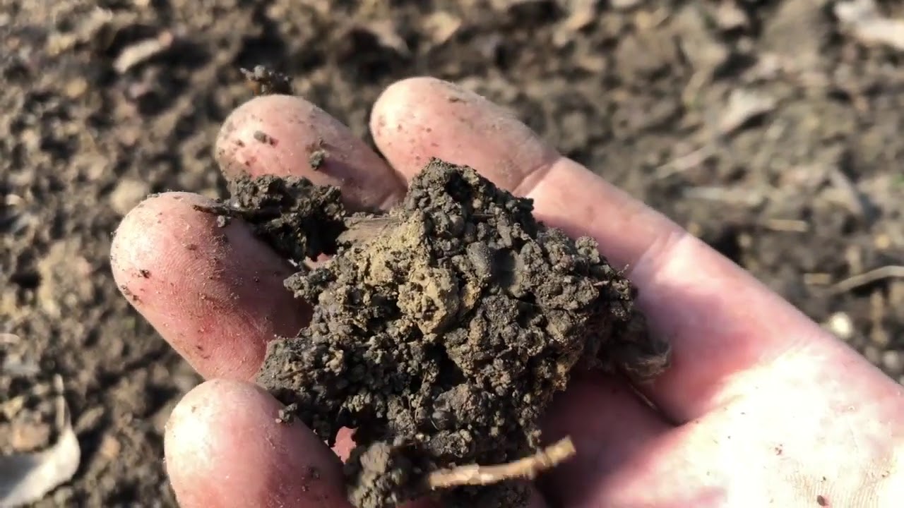 Signs of Soil Health - YouTube
