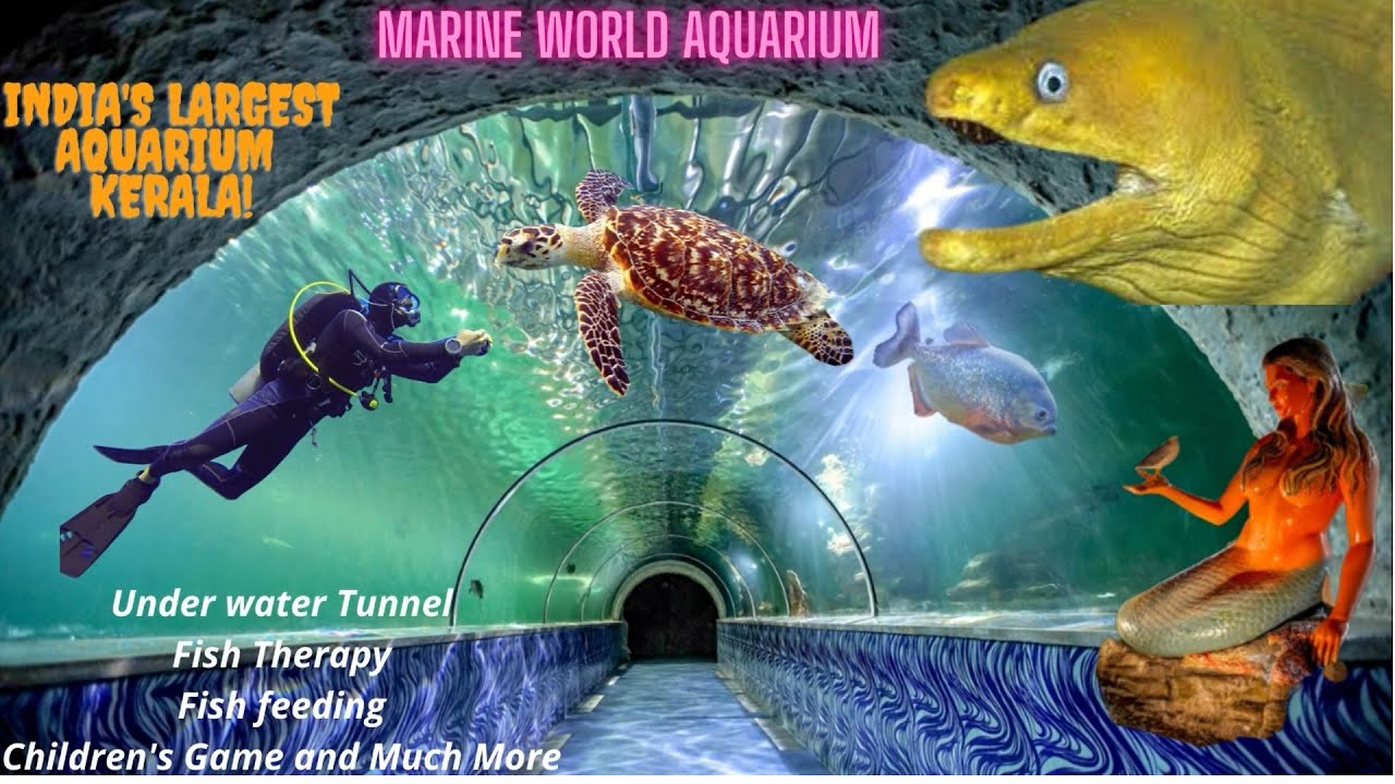 INDIA S LARGEST AQUARIUM Kerala Thrissur Marine World india-s-largest-aquarium-kerala-thrissur-marine-world