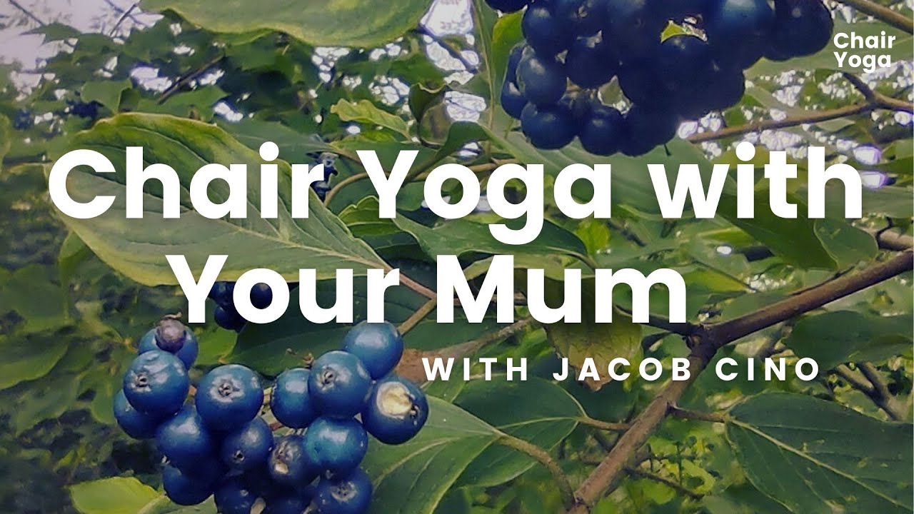 Chair Yoga with Your Mum lead by Jacob Cino, 20 minute Chair Yoga you ...
