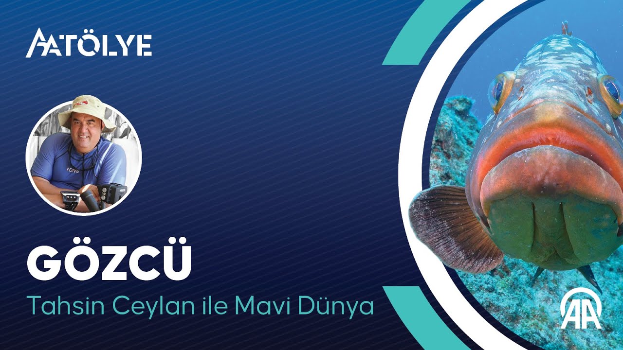 Gözcü: Tahsin Ceylan ile Mavi Dünya - YouTube