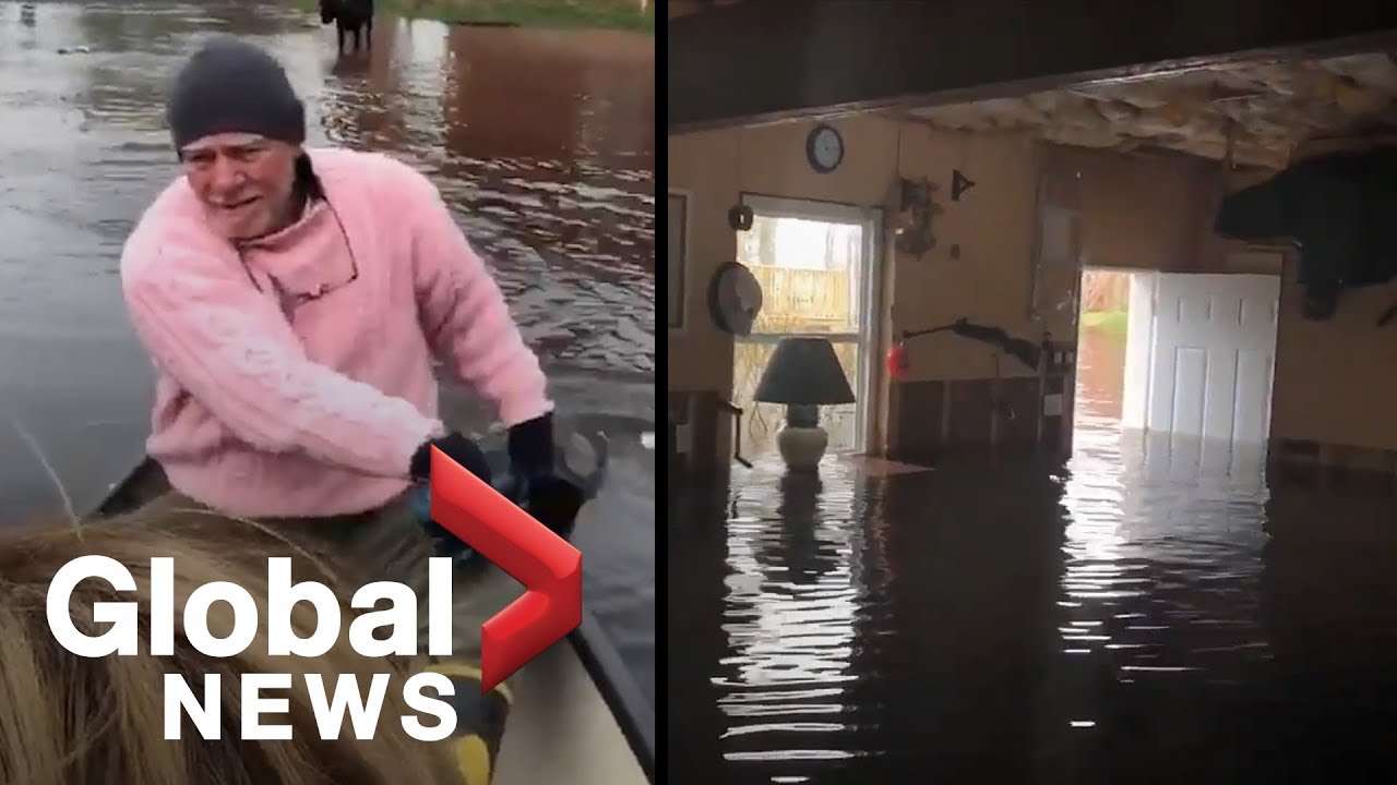 N.B. flooding: Resident takes reporter on canoe through flooded home ...