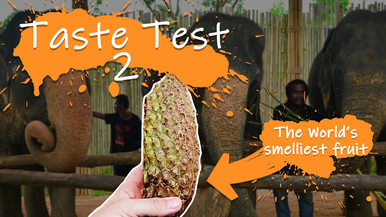Taste Test 2 - YouTube