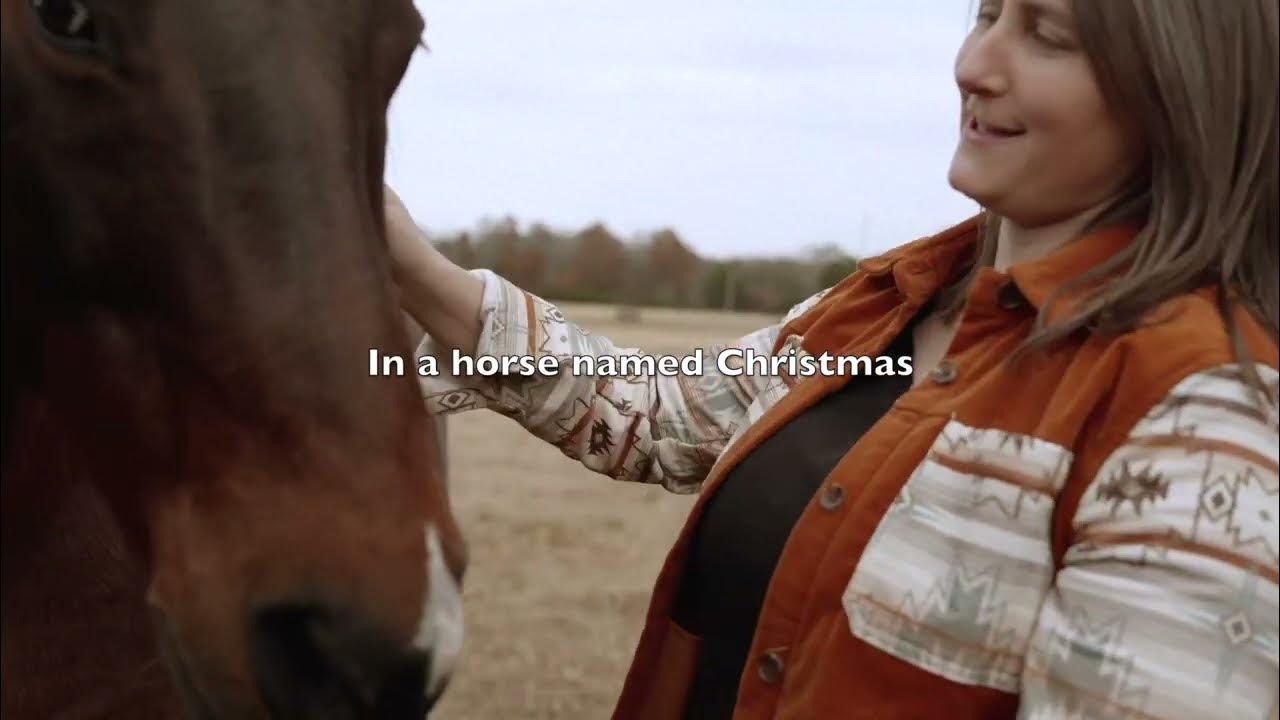 Erin Enderlin - A Horse Named Christmas (Lyric Video) - YouTube