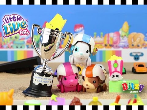 Little Live Pets Lil' Mouse STUNT SHOW by The Ditzy Channel! Shopkins ...