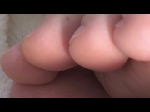 my wife's sleeping feet