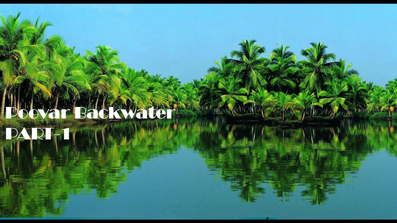 Amazing Kerala Backwater | Poovar Backwater Ride Part-1 - YouTube