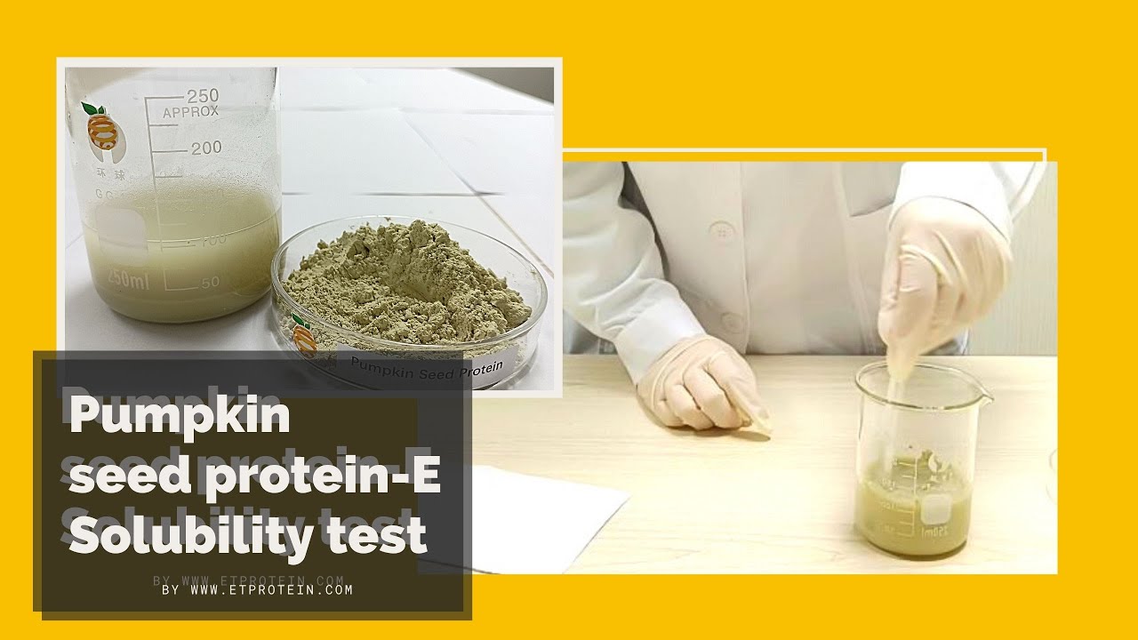 Pumpkin protein Type E Solubility experiment by ETprotein 2022 - YouTube