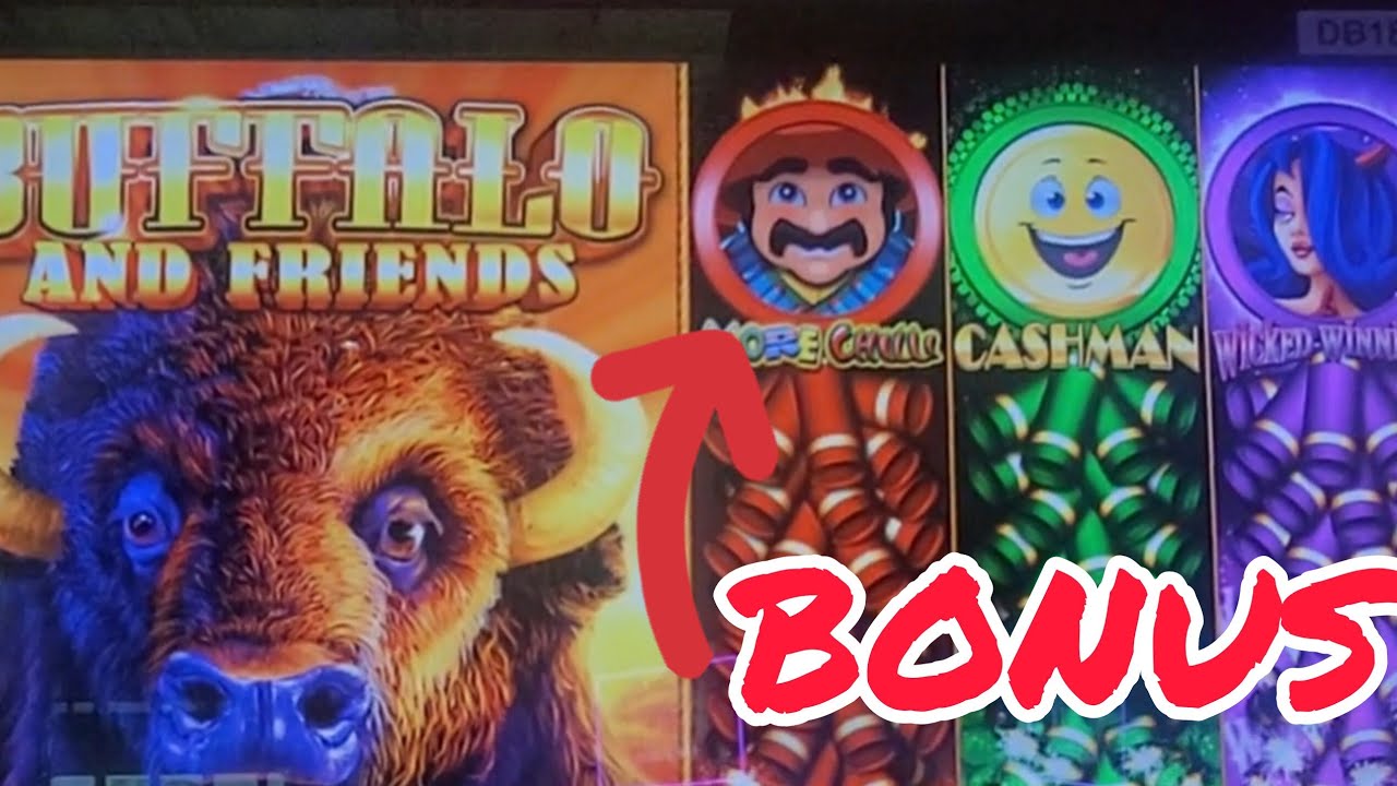 MORE CHILLI BONUS 🌶 🌶 🌶 ON BUFFALO AND FRIENDS 🐃 🐃 - YouTube