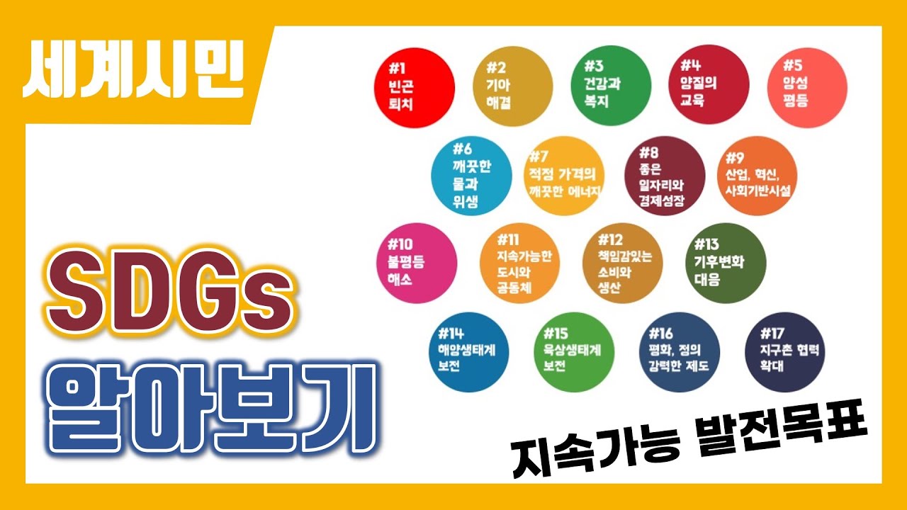 🌏 SDGs (지속가능 발전목표) 17가지 알아보기 (세계시민교육) - YouTube