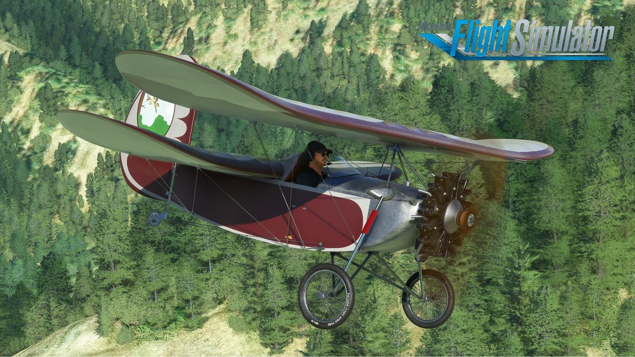 Rara-Avis Sims Flying Flea - The weirdest flying aircraft and I love it ...