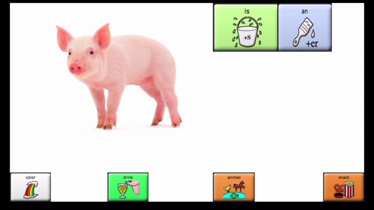 Categories and Social Questions LAMP WFL - YouTube