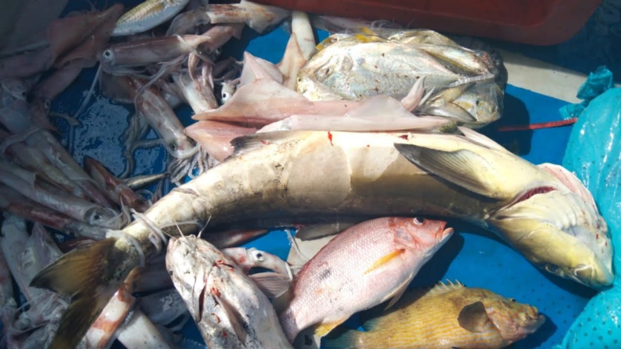 Night Fishing: How To Catch More Fish At Night - YouTube