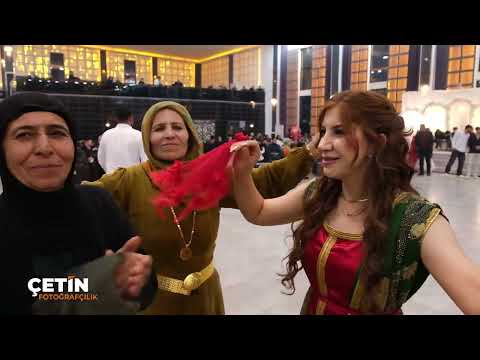 Diyar aydın - Sewe / Live Performance  