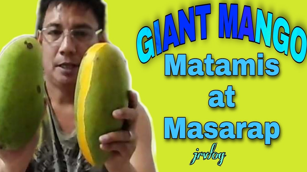 GIANT MANGO//MATAMIS AT MASARAP//jrvlog - YouTube
