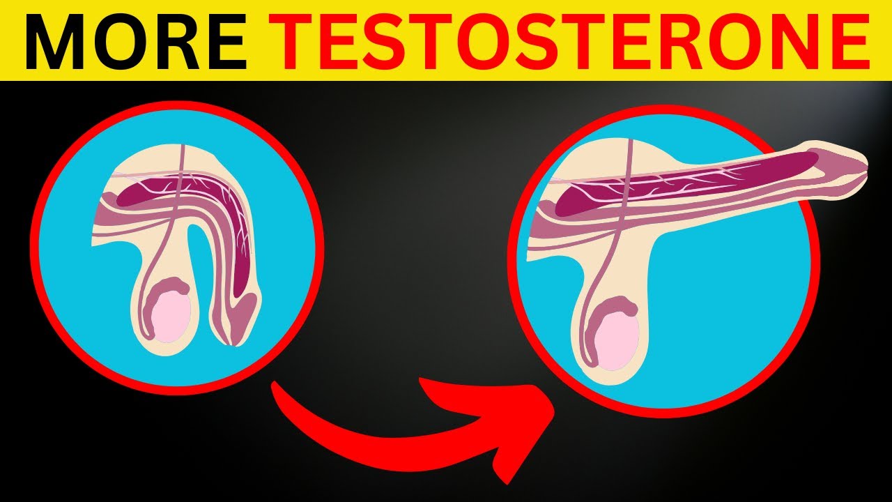 ERECTILE DYSFUNCTION Treatment EXPERT Shares Top 3 DRINKS for Boosting ...